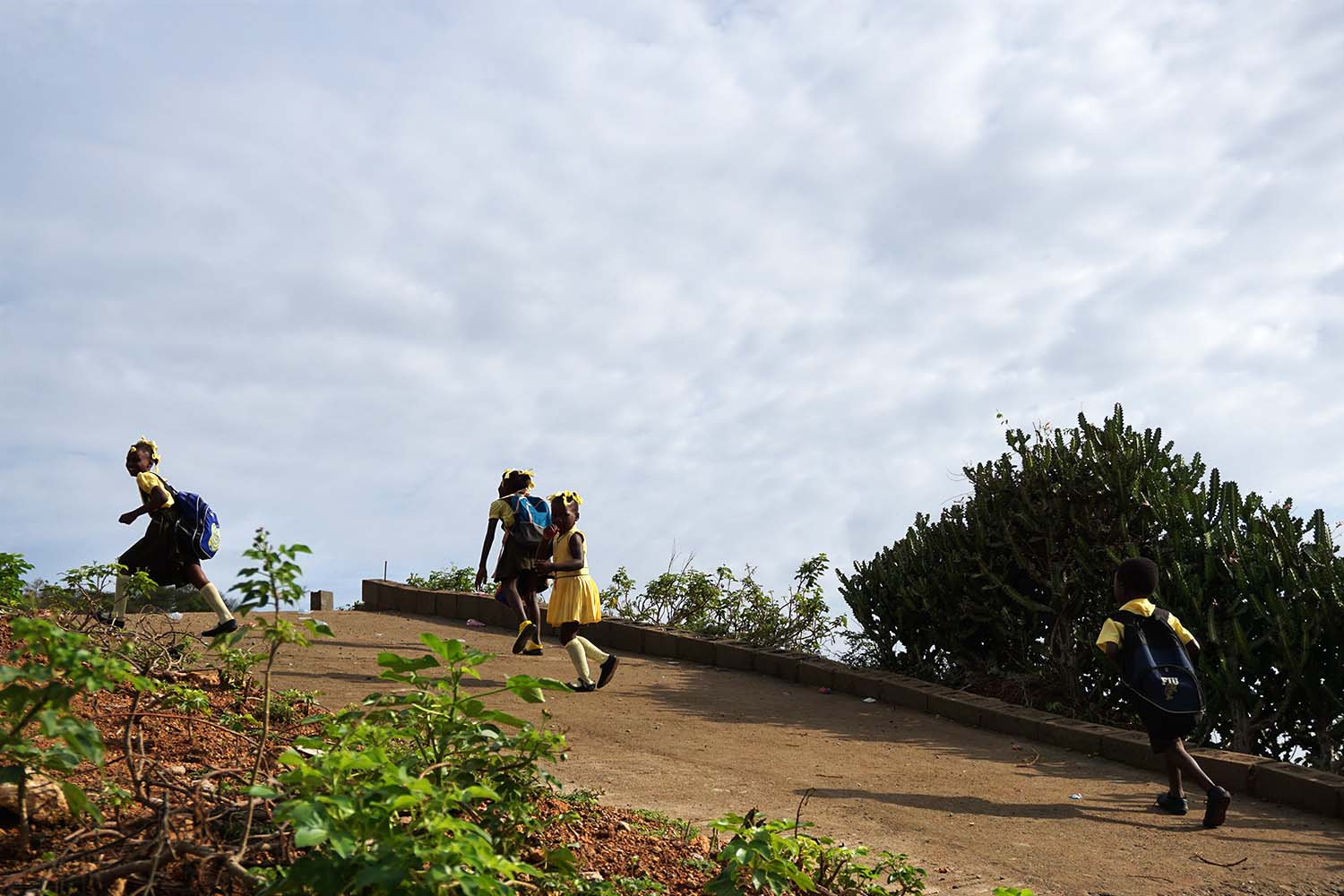 Triple E Canada Ltd. - LiveDifferent